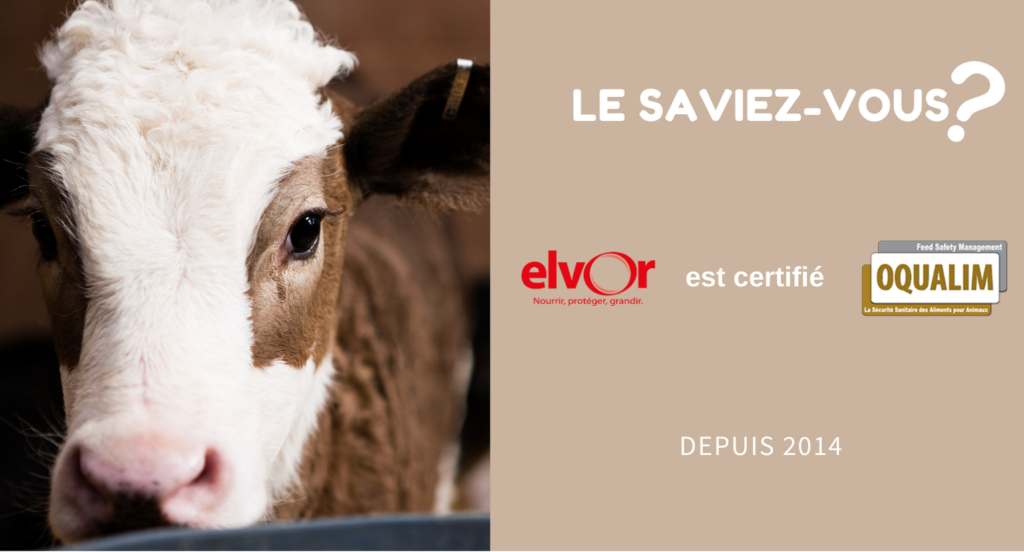 Notre certification OQUALIM | Elvor